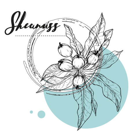 Pflanzenlexikon | Hakawerk